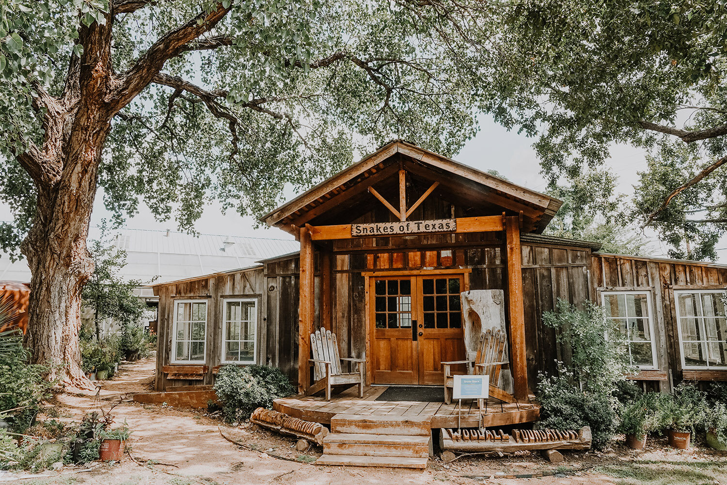 Snake and Reptile Shack - Texas Discovery Gardens