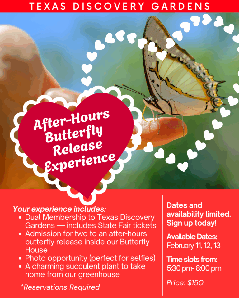 Butterfly Release Archives - Texas Discovery Gardens